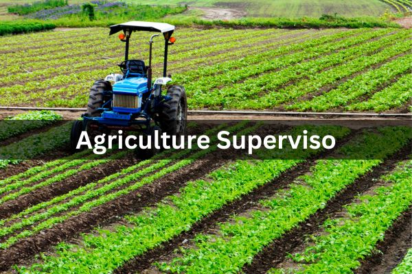 Hey Buddy – Agriculture Science Hub | B.Sc. Honors Agriculture, Jobs ...